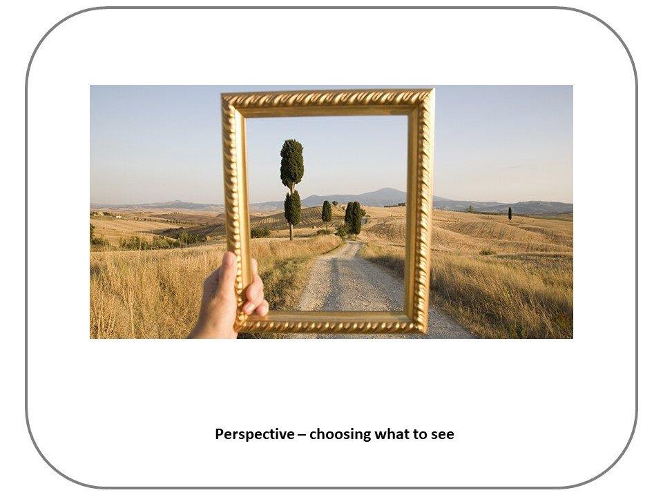 THE PERSPECTIVE – Nirvana